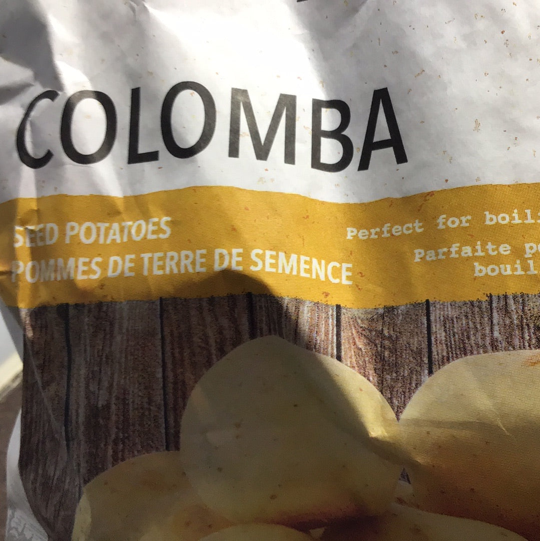 Colomba seed potatoes – KB Depot Express